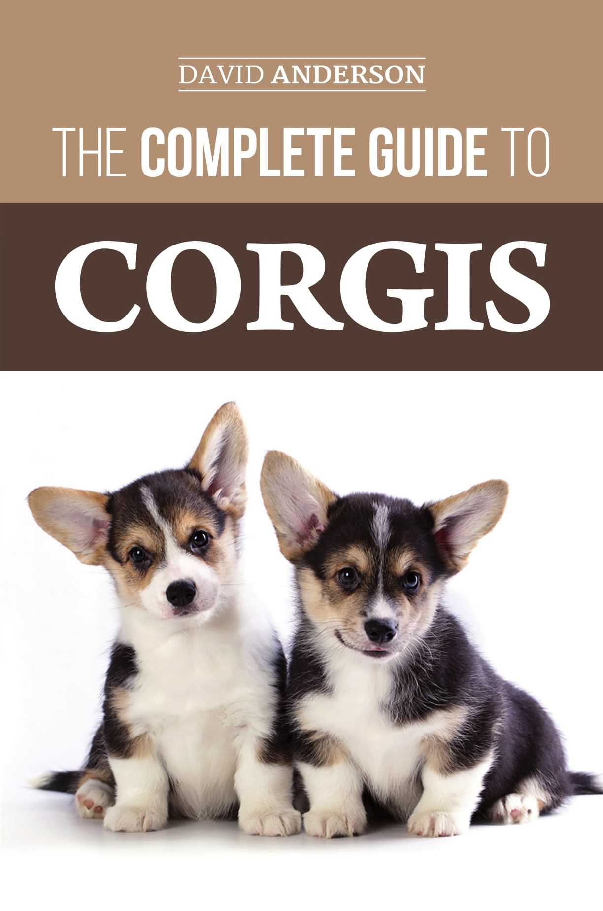 15 Books About Corgis - Page 2 of 3 - PetPress