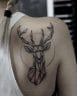 Top 15+ Deer Tattoo Ideas - Back Tattoo Designs - PetPress