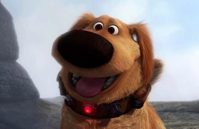 350 Disney Dog Names - Awesome Disney Inspired Dog Names - PetPress