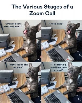 14 Funny Dog Memes Showing The Reality of Staying Home In Quarantine ...