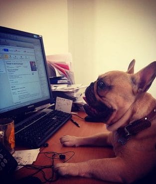 17 Hilarious Pictures Showing The Guide To Self-Isolation - Page 3 of 3 ...