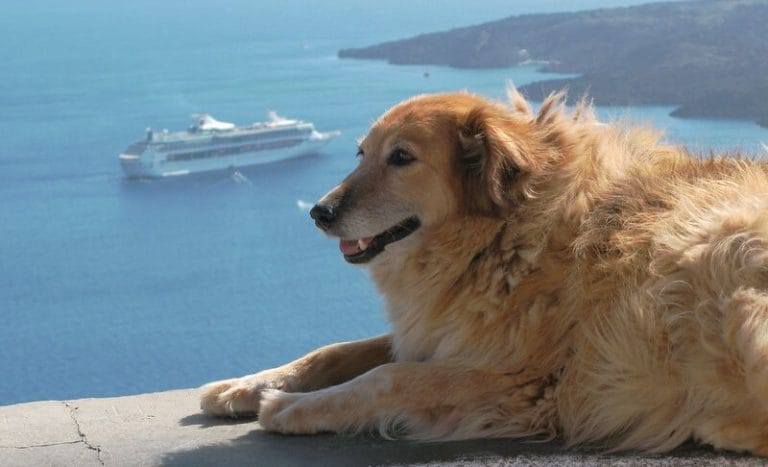 235 Greek Dog Names - Greek Mythology Names for Dogs