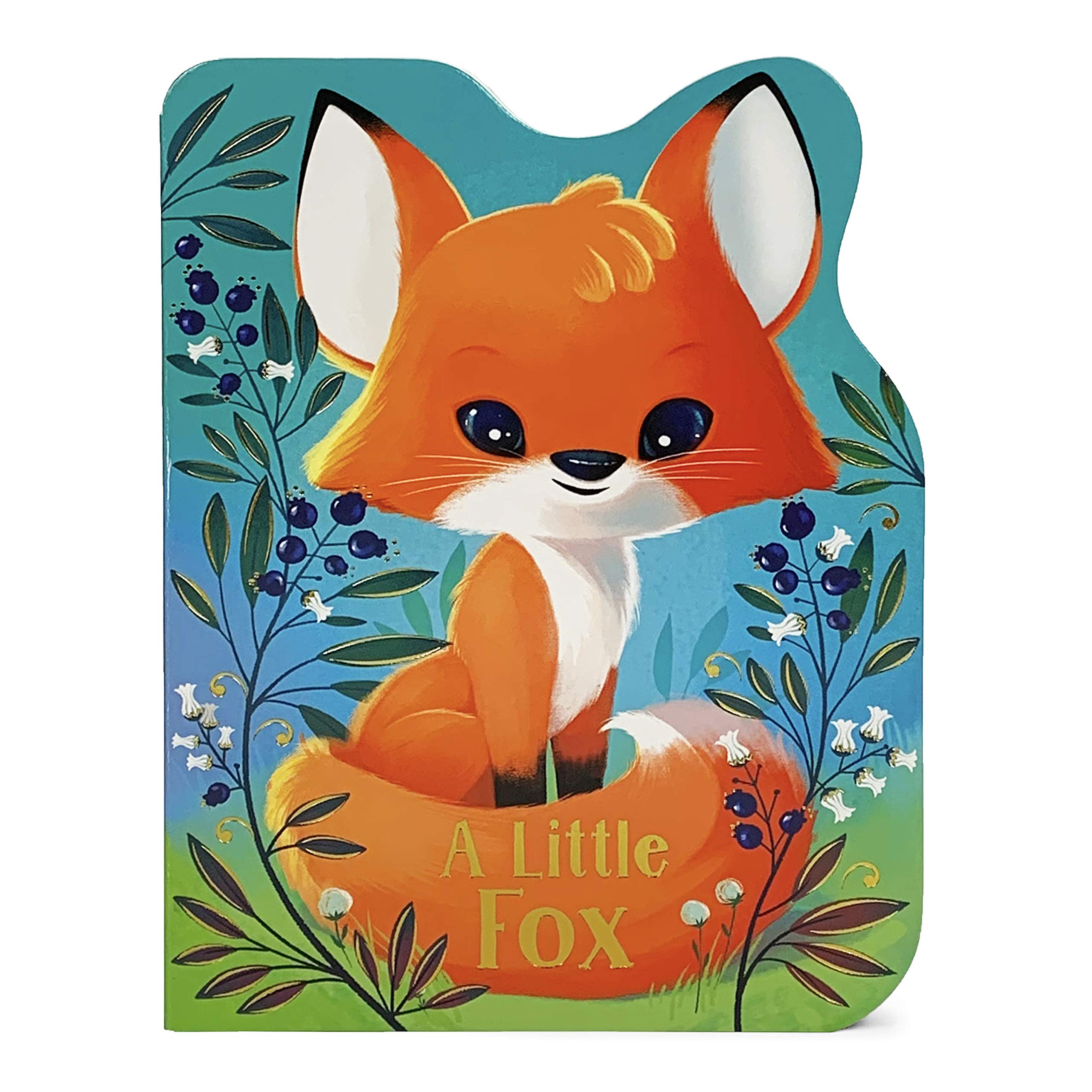 15 Children's Books About Foxes - PetPress