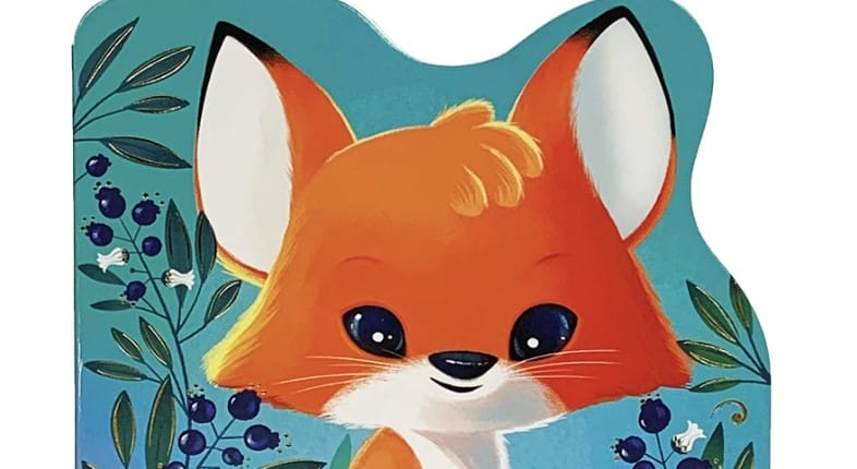 15 Children's Books About Foxes - PetPress