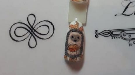 14 Best Hedgehog Nail Arts - PetPress