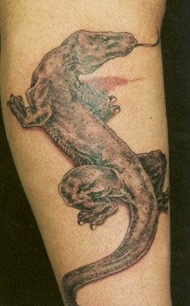 10+ Komodo Dragon Tattoo Designs - PetPress