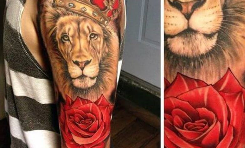 12+ Best Lion and Rose Tattoo Designs - PetPress