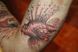 12+ Best Lionfish Tattoo Designs and Ideas - PetPress