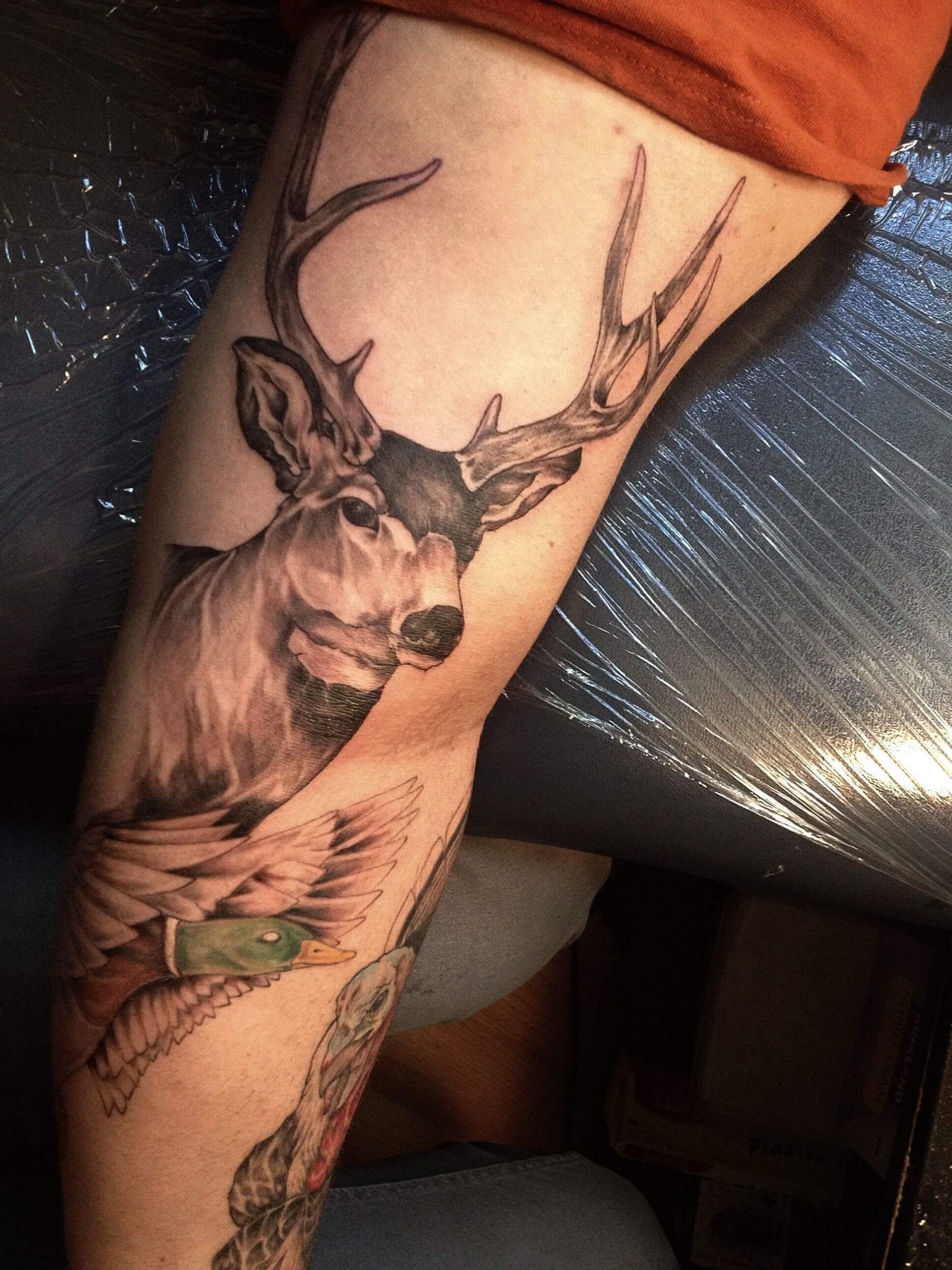 12+ Best Mule Deer Tattoo Designs - PetPress