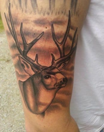 12+ Best Mule Deer Tattoo Designs - PetPress