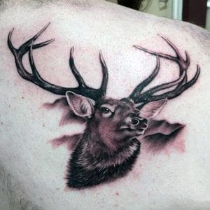 12+ Best Mule Deer Tattoo Designs - PetPress