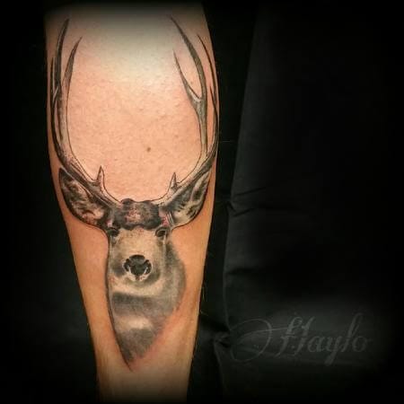12+ Best Mule Deer Tattoo Designs - PetPress