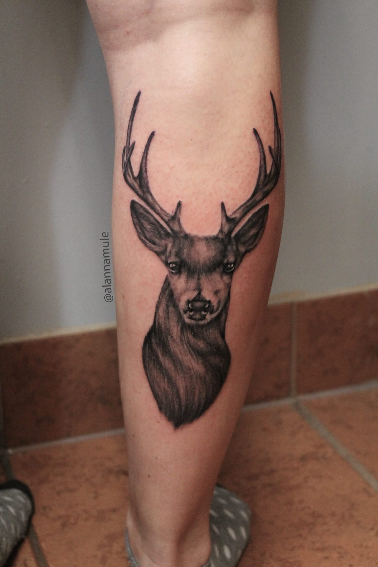 12+ Best Mule Deer Tattoo Designs - PetPress