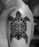 15+ Native American Turtle Tattoo Ideas - PetPress