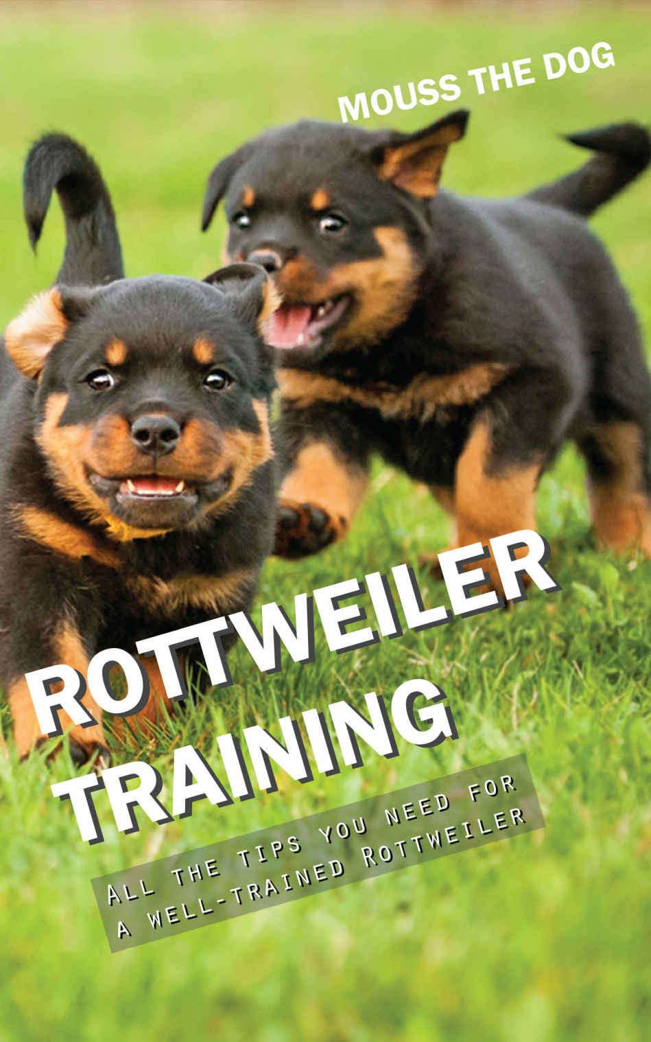 15 Books About Rottweilers (Part 1) - PetPress