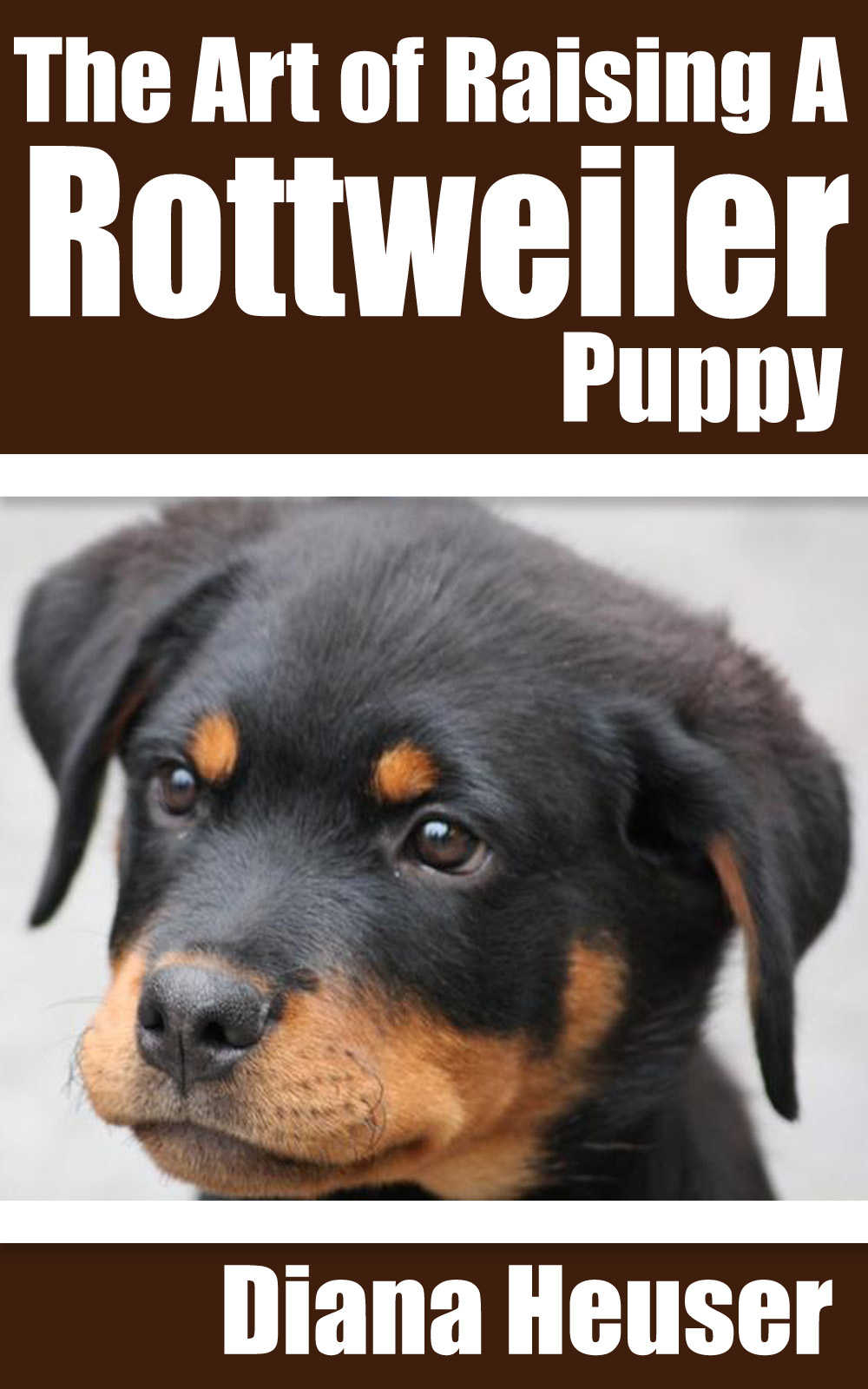 15 Books About Rottweilers (Part 1) - PetPress