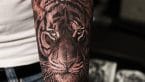 10+ Dutch Lion Tattoo Designs & Ideas - PetPress