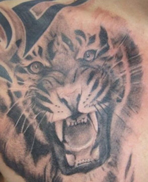 15+ Best Chest Tattoo Designs – Tiger Tattoo Ideas - PetPress