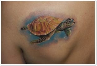12+ Unique Turtle Tattoos - Back Tattoo Designs - PetPress