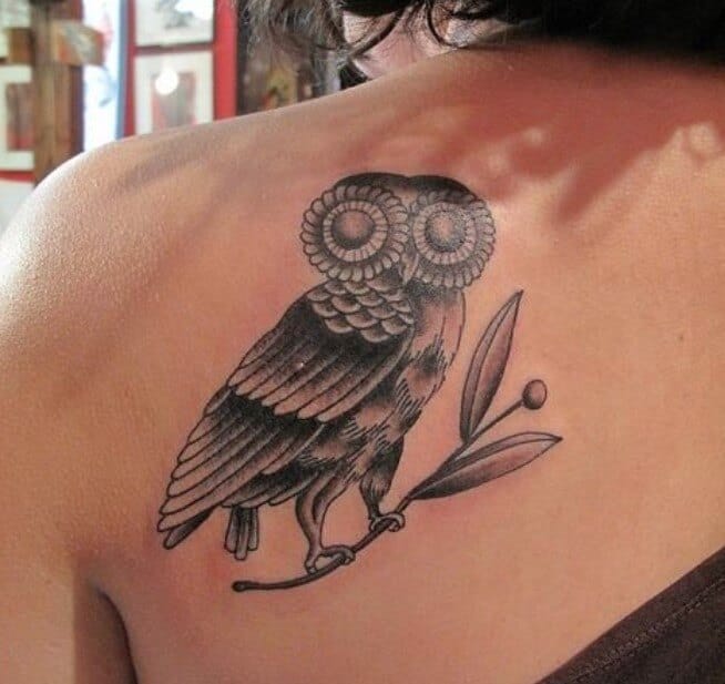 10+ Athena Owl Tattoo Designs and Ideas - PetPress