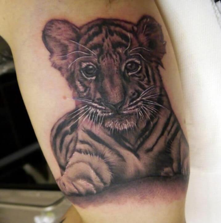 12+ Realistic Baby Tiger (Cubs) Tattoo Ideas - PetPress