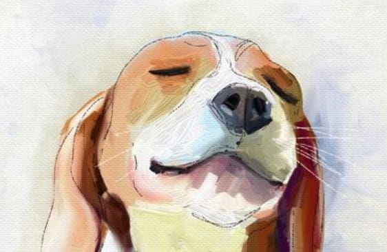14 Funny Beagle Memes To Make Your Day - PetPress