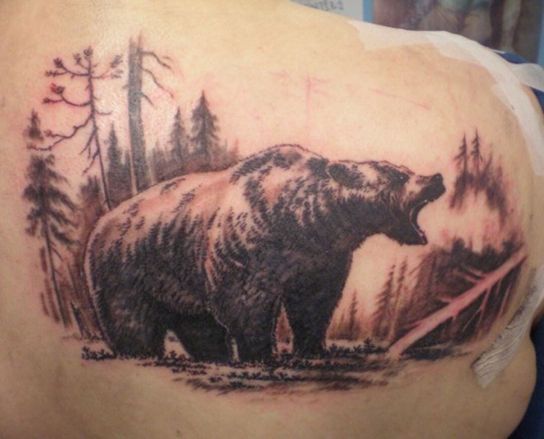 12+ Bear Back Tattoo Designs - PetPress