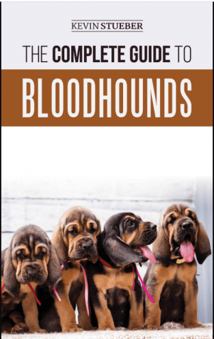 15 Books About Bloodhounds - PetPress