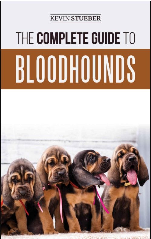 15 Books About Bloodhounds - PetPress