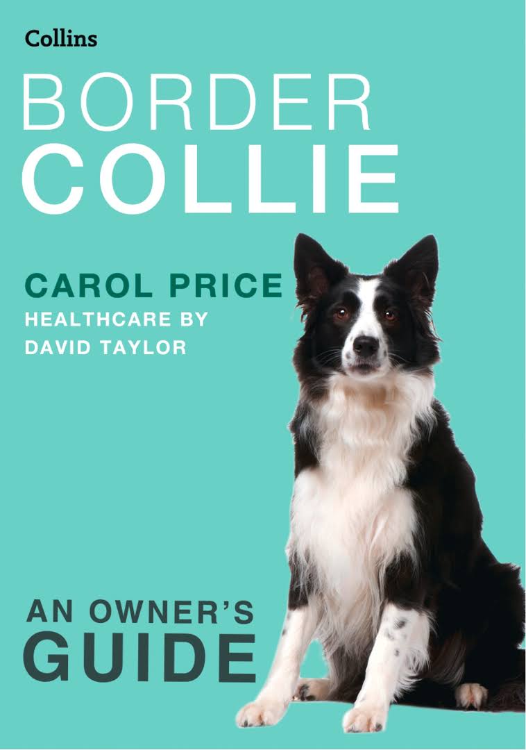 15 Best Books for Border Collie Lovers - PetPress