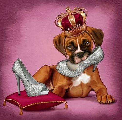 15 Things You'll Only Understand If You Have A Boxer - PetPress