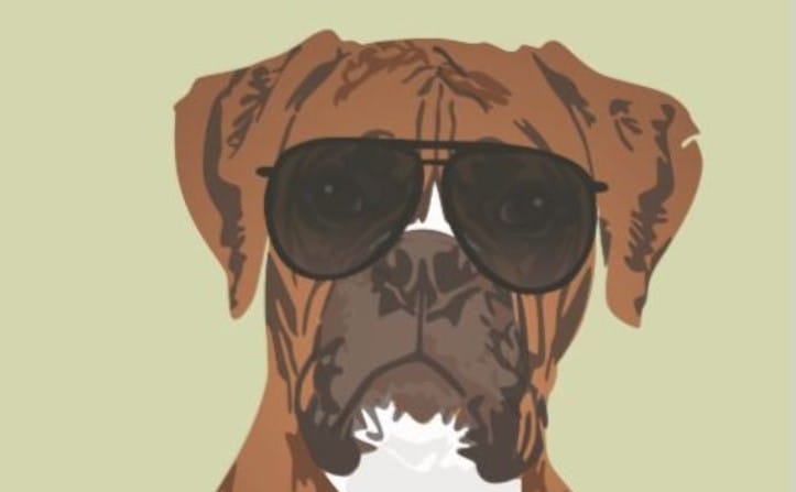 14 Funny Memes That Only Boxer Owners Will Understand! - PetPress