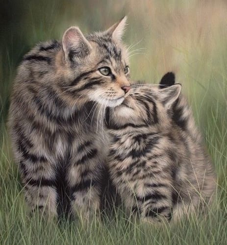 Top 50 Pretty Female Cat Names For Your Cute Female Kitten