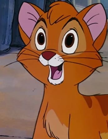 30+ Disney Cat Names For Your Adorable Male Kitten