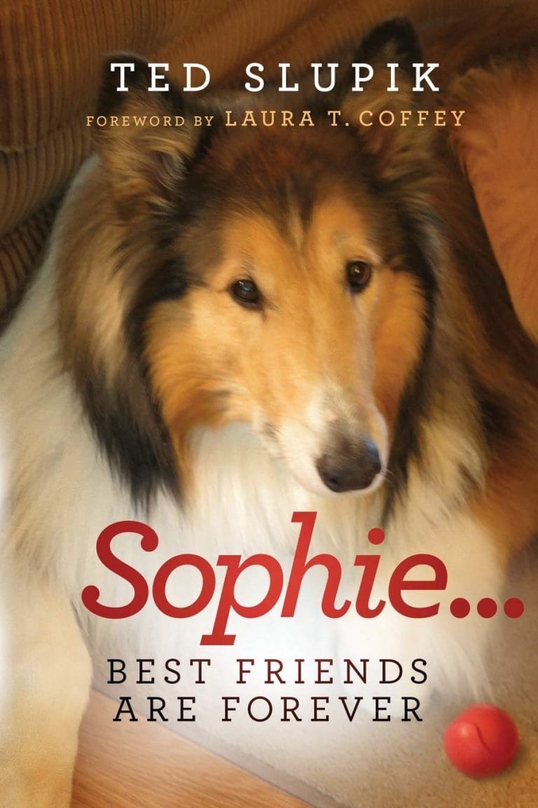 15 Books About Collies (Part 2) - PetPress