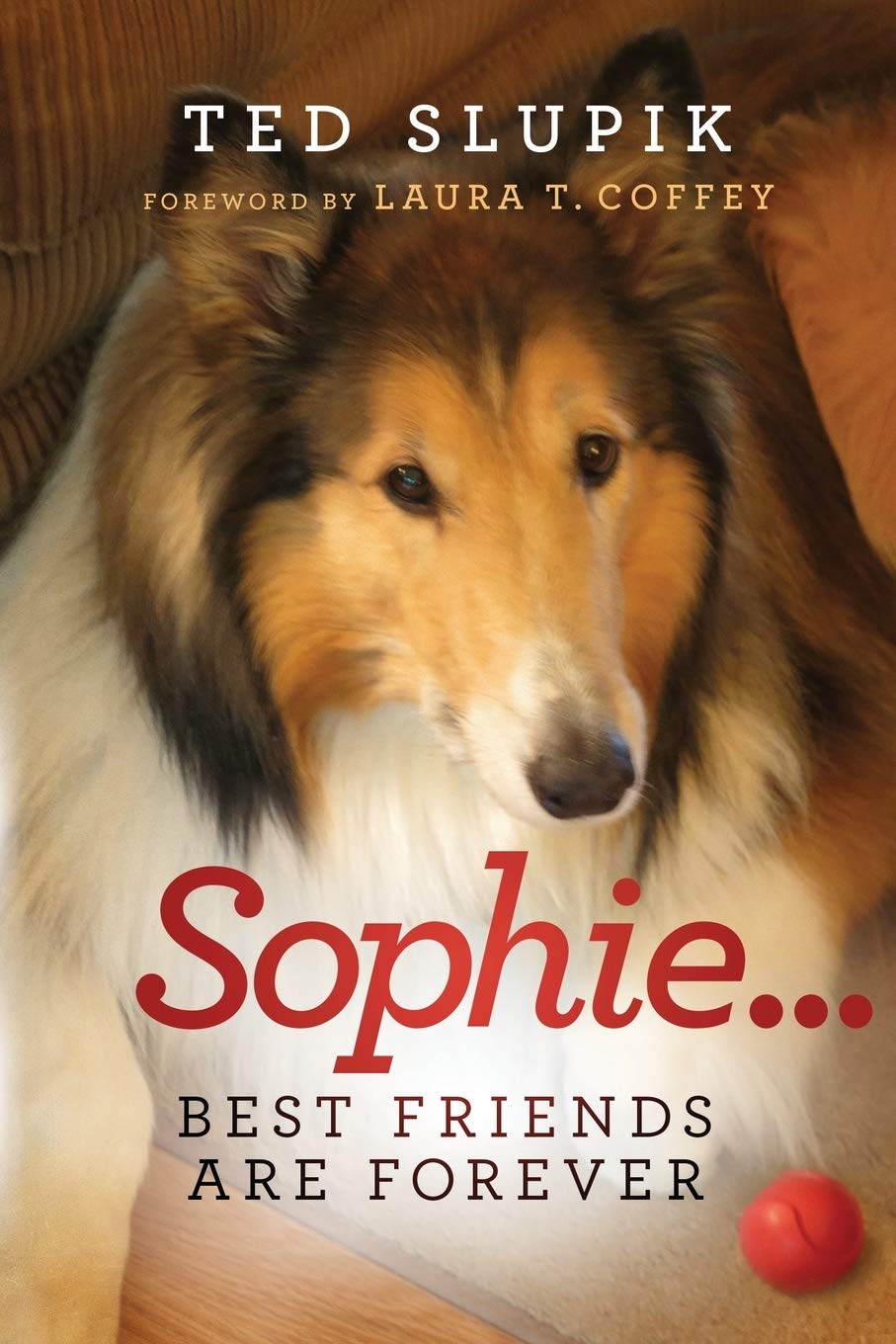 15 Books About Collies (Part 2) - PetPress
