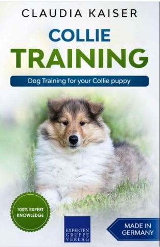 15 Books About Collies (Part 1) - PetPress