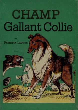 15 Books About Collies (Part 2) - PetPress