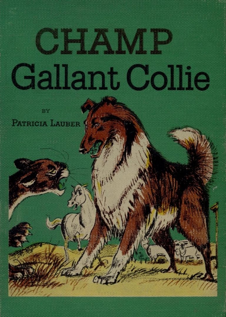 15 Books About Collies (Part 2) - PetPress