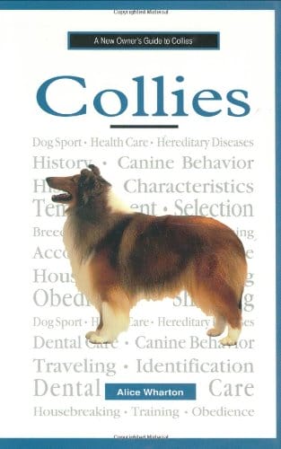 15 Books About Collies (Part 1) - PetPress
