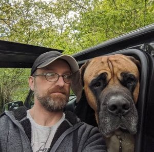 14 Reasons Why You Should Never Own English Mastiffs - PetPress