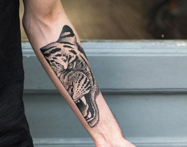 12+ Best Half Tiger Face Tattoo Designs - PetPress