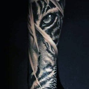 12+ Best Half Tiger Face Tattoo Designs - PetPress