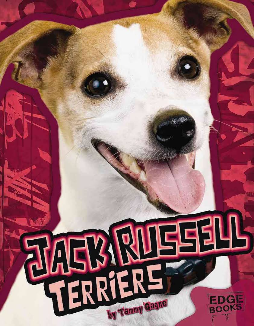 15 Books About Jack Russell Terriers - PetPress