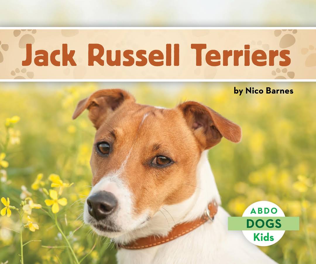 15 Books About Jack Russell Terriers - PetPress