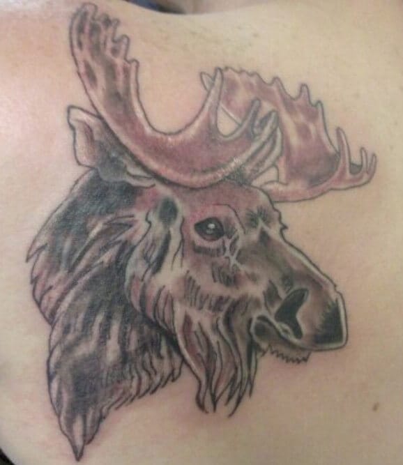 12+ Realistic Moose Head Tattoo Ideas - PetPress