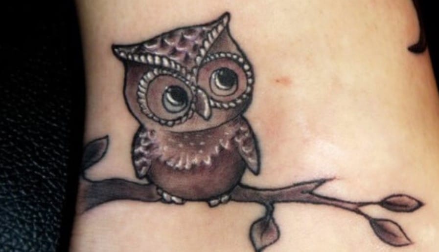 12+ Best Baby Owl Tattoo Ideas - PetPress