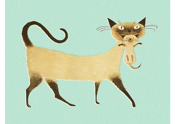 15 Funny Siamese Cats To Brighten Up Your Day - Page 2 of 4 - PetPress