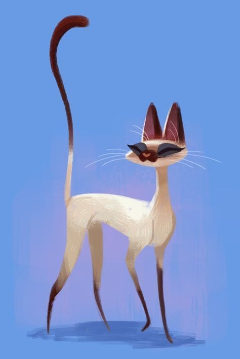 15 Funny Siamese Cats To Brighten Up Your Day - PetPress