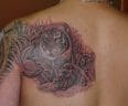Top 10+ Tiger Family Tattoo Ideas - PetPress